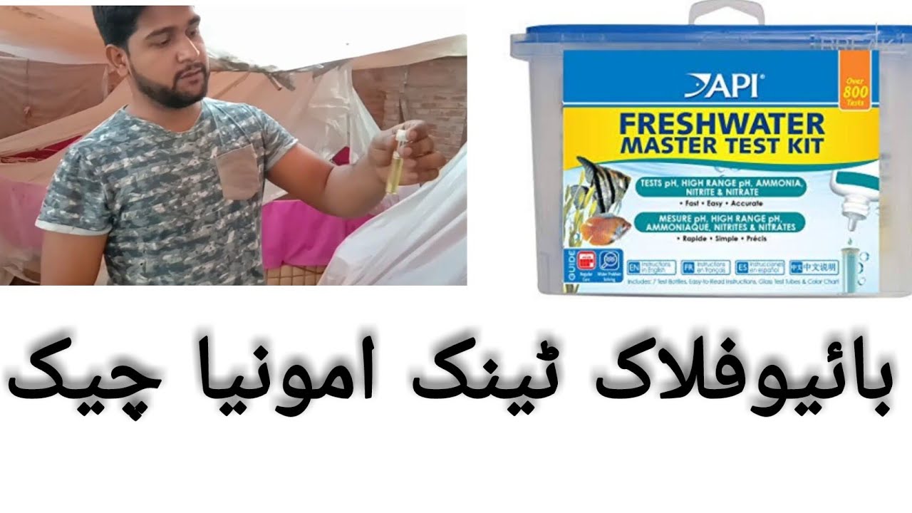 API freshwater Mstr test kit (How to Amunia check)Rana Azam bioflac ...