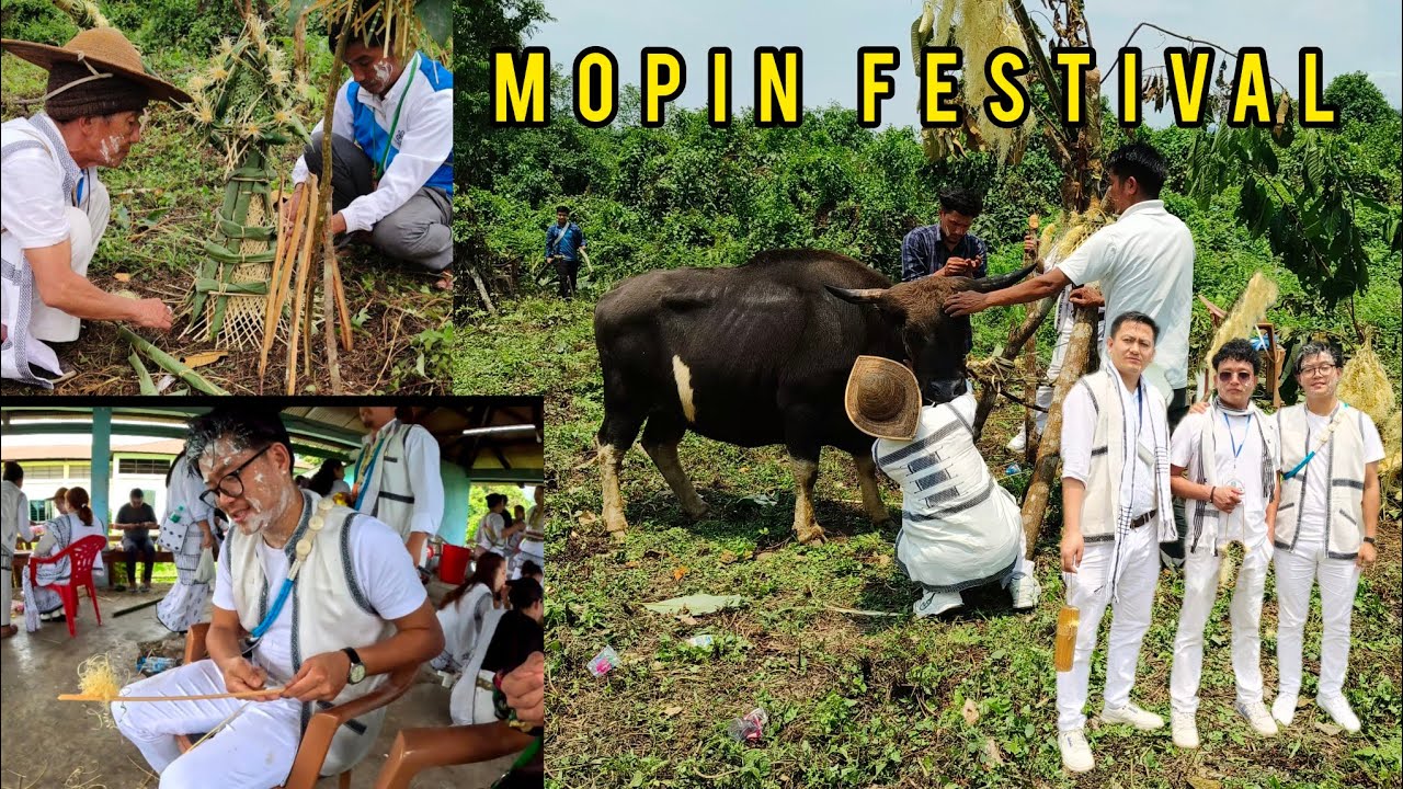 This is How Mopin Festival is Celebrated // Arunachal Pradesh. - YouTube