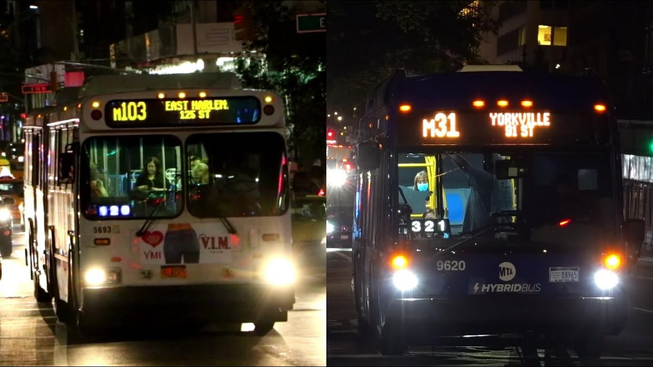 MTA New York City Bus & MTA Bus Company : Local & Express Bus Action ...