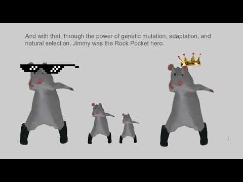 Jimmy The Mouse