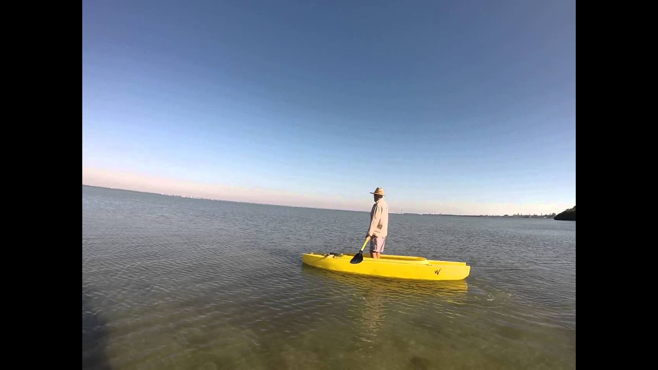 Stand Up Kayaking on Sarasota Bay Longboat Key in February - YouTube