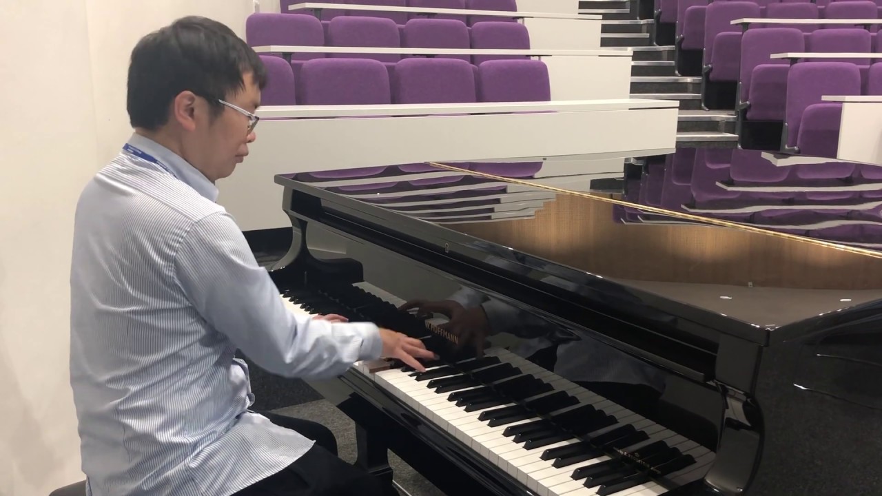 肖邦亲测德国霍夫曼钢琴 贝希斯坦欧洲制造 Bechstein Europe in the Czech Republic - Prof ...
