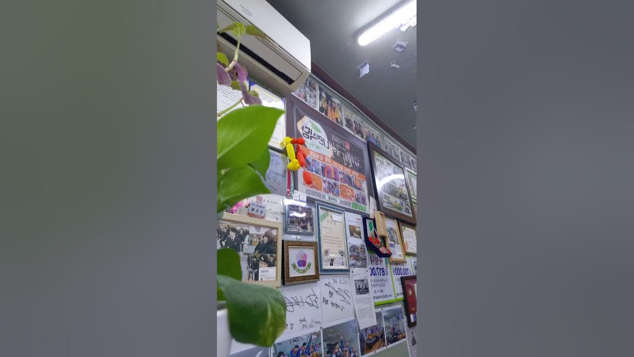 아름다운꽃 라이브 방송https://www.youtube.com/@%EC%95%84%EB%A6%84%EB%8B%A4%EC%9A ...