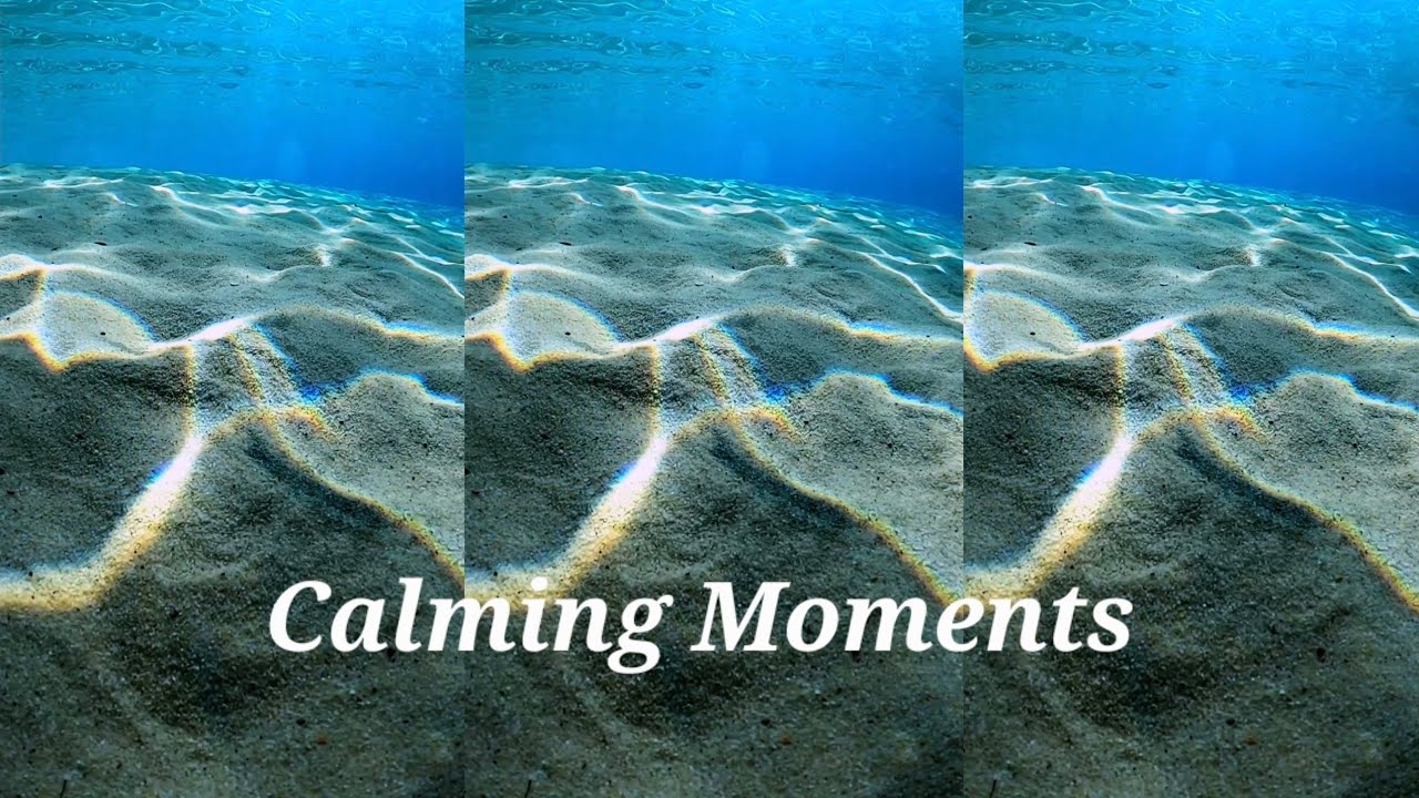 Calming Moments - YouTube