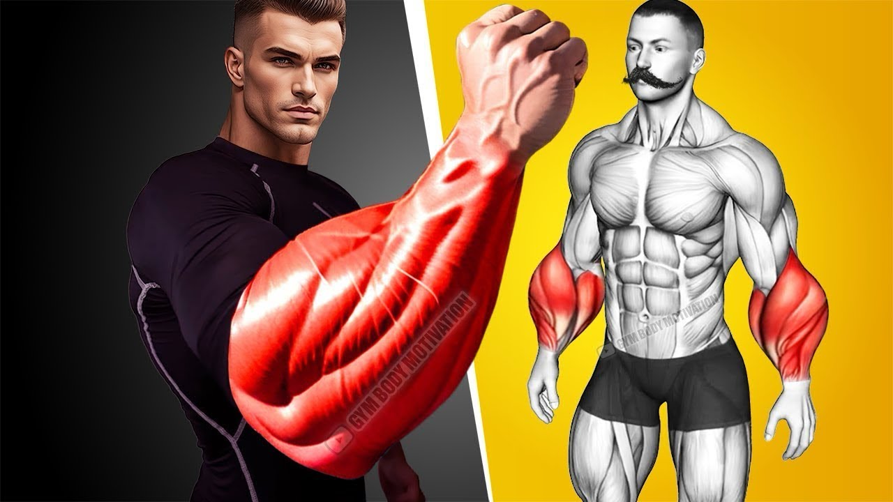The Ultimate Forearms Workout For Muscle Growth - YouTube