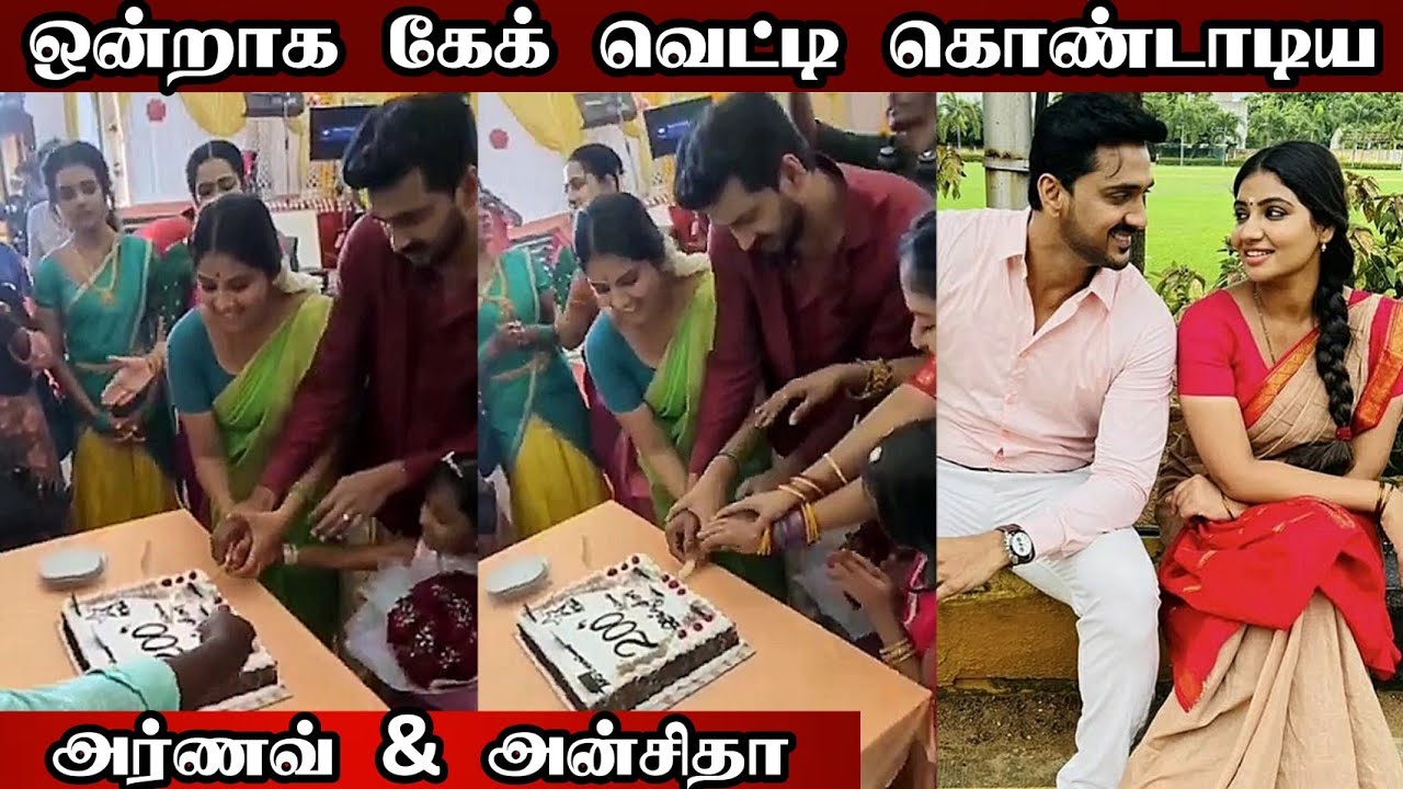 கேக் வெட்டி கொண்டாடிய அர்ணவ் & அன்சிதா 🎉 செல்லமா சீரியல் | Chellamma ...