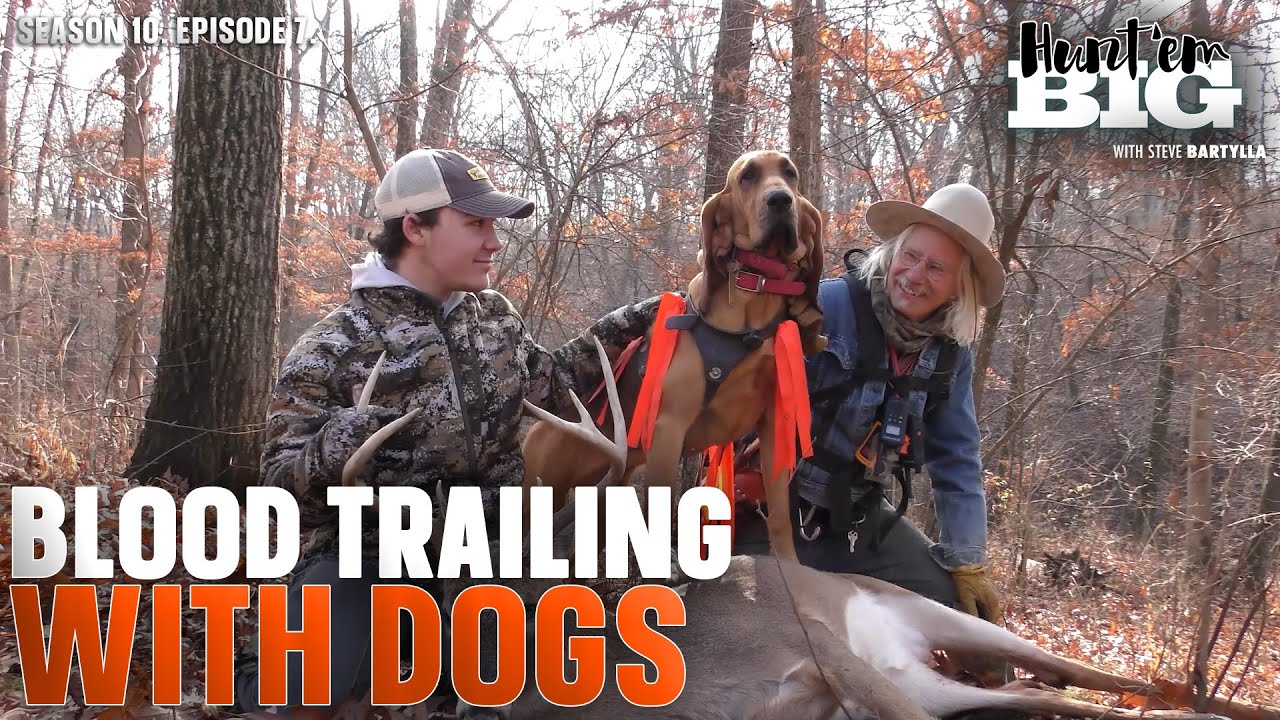 What to Know When Tracking Deer with Dogs - YouTube