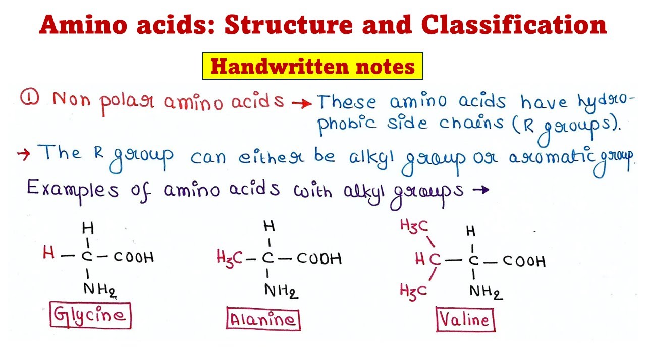 Classification Of Amino Acids Amino Acid Structure And Classifications