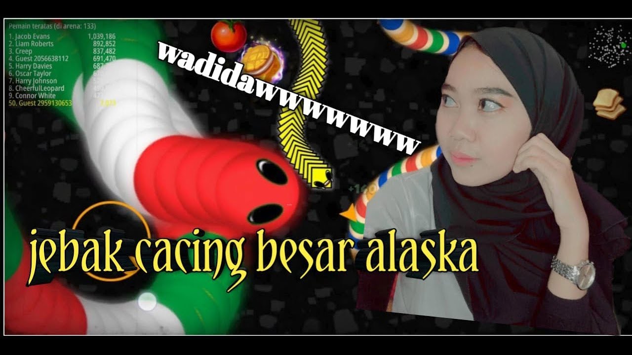 Jebak Cacing Besar Alaska Di Worms Zone.oi Langsung Peringkat 1 Dunia ...