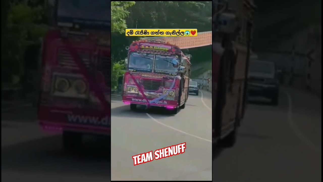 Team Shenuff Dham Rejini Bus Official party 🥳🥳🥳🥳 - YouTube