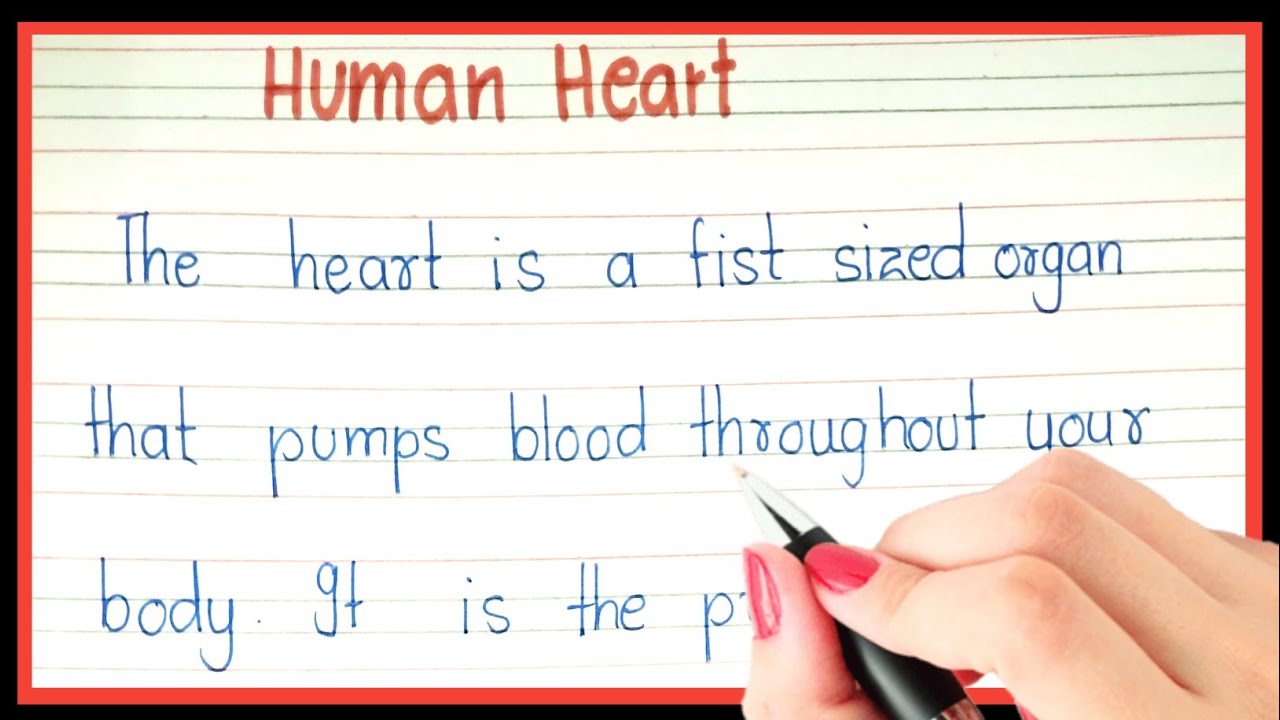 Definition of human heart | What is human heart | Function of human ...