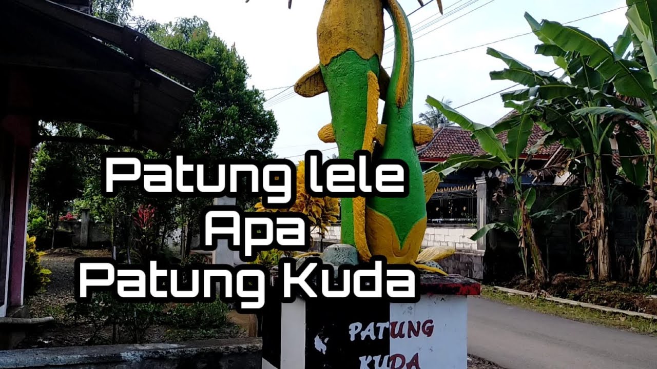 Patung lele apa patung kuda...? - YouTube