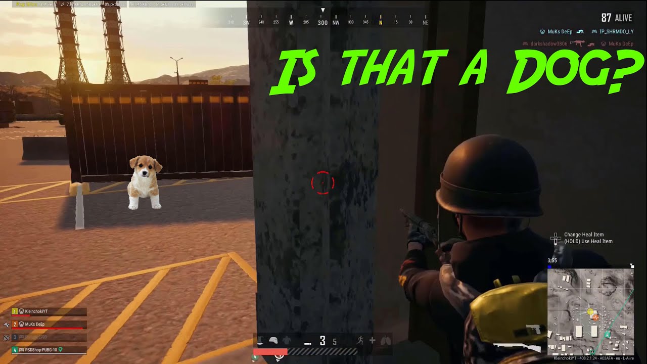 I can't see the Dogs in PUBG!!!! Gameplay with a friend in Squads - YouTube
