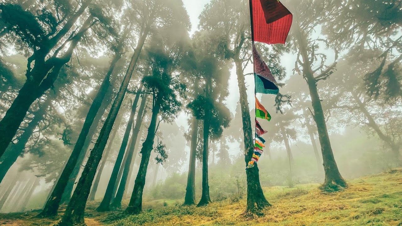 ハウスミュージック ダンス＆エレクトロニック | Stay For Now (Hallman Remix) - Ray |【作業用BGM ...