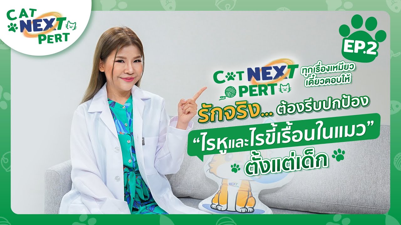 CAT Nextpert by Next combo cat EP.2 | รักจริงต้องรีบปกป้อง ไรหูและไรขี้ ...