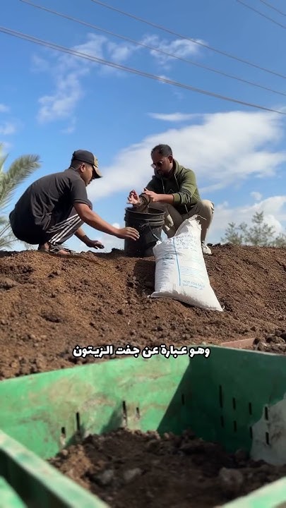 شو هو بترول غزة ؟؟ جفتالزيتون اكسبلور فلسطين حربغزة Youtube