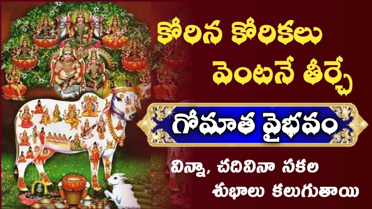 Benefits Of Gomatha Pooja | గోమాత మహత్యం | గోమాత వైభవం గురించి విన్నా ...