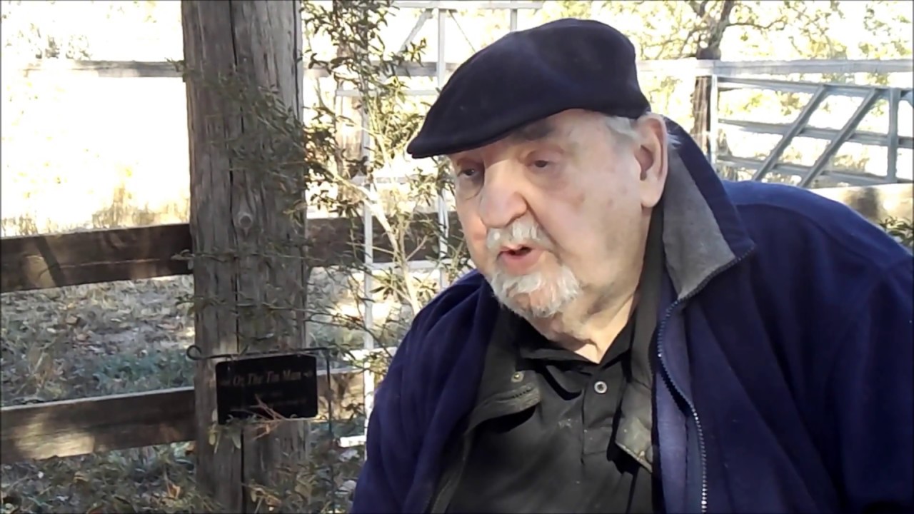 Author Hank Harrison on His Book "Love Kills" and His Daughter Courtney ...