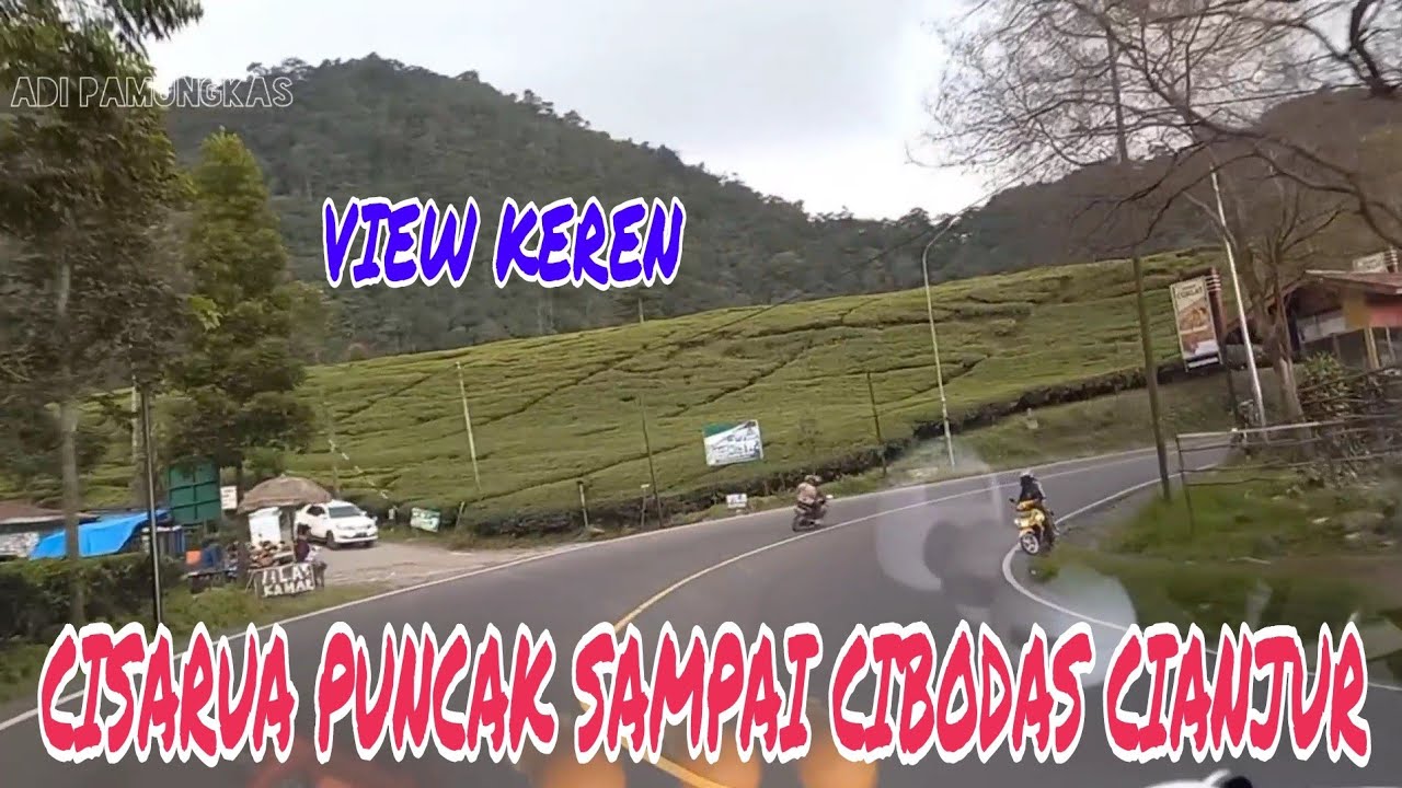 Jalan Raya Puncak Bogor Dari Cisarua Sampai Cibodas Cianjur | Puncak ...