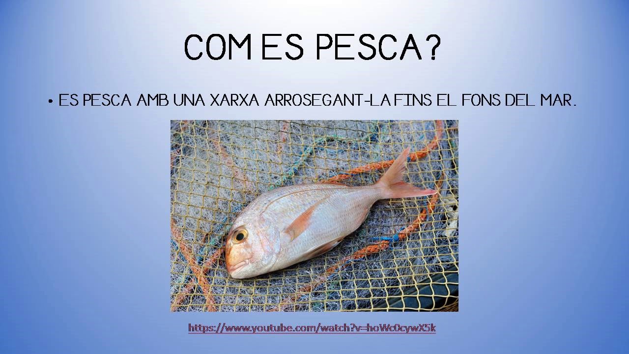 Vídeo Orades - YouTube