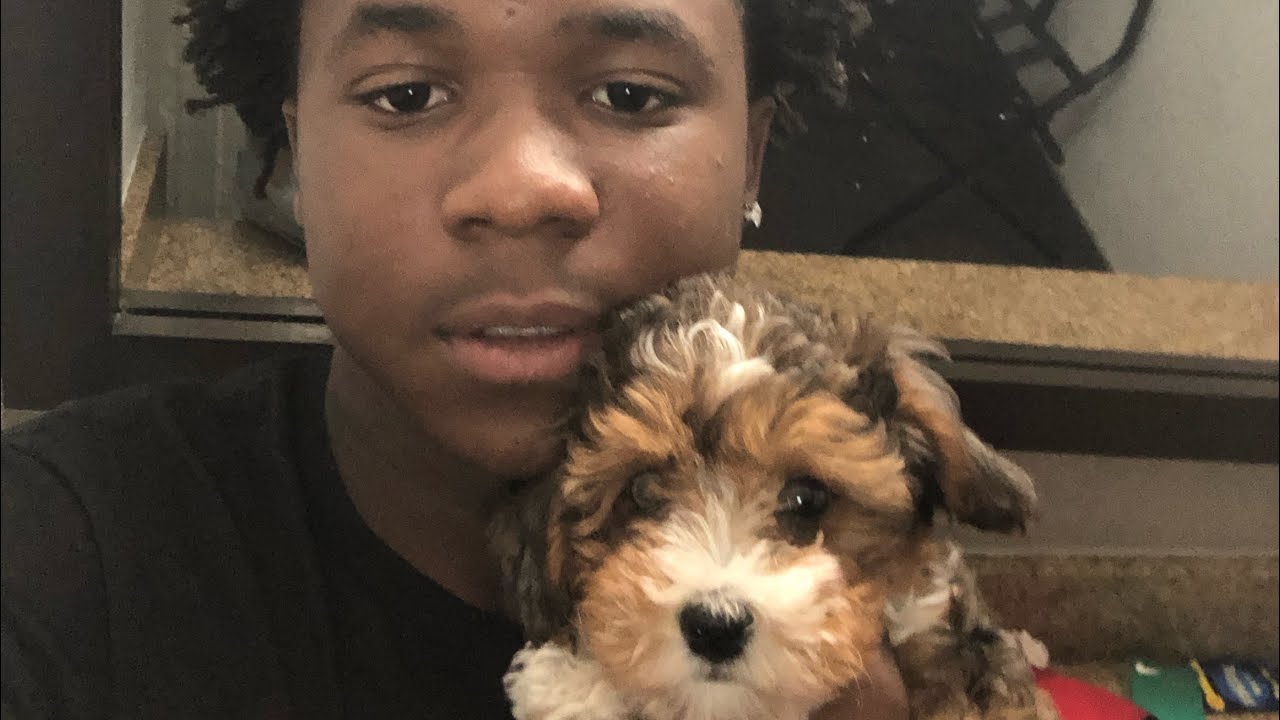 King AK - Have Strong Words For Kodak Black & Cluck Rappers - YouTube