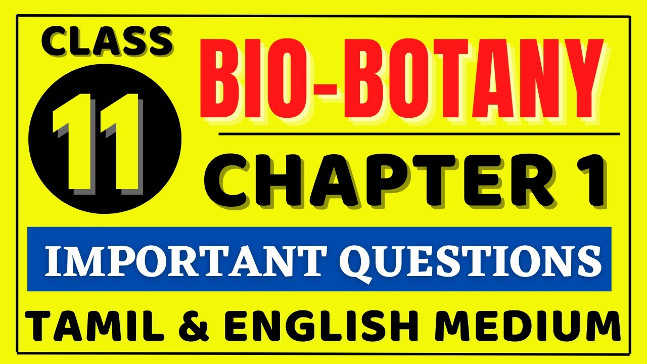 11th Bio Botany Chapter 1 important Questions | 11th Biology important ...