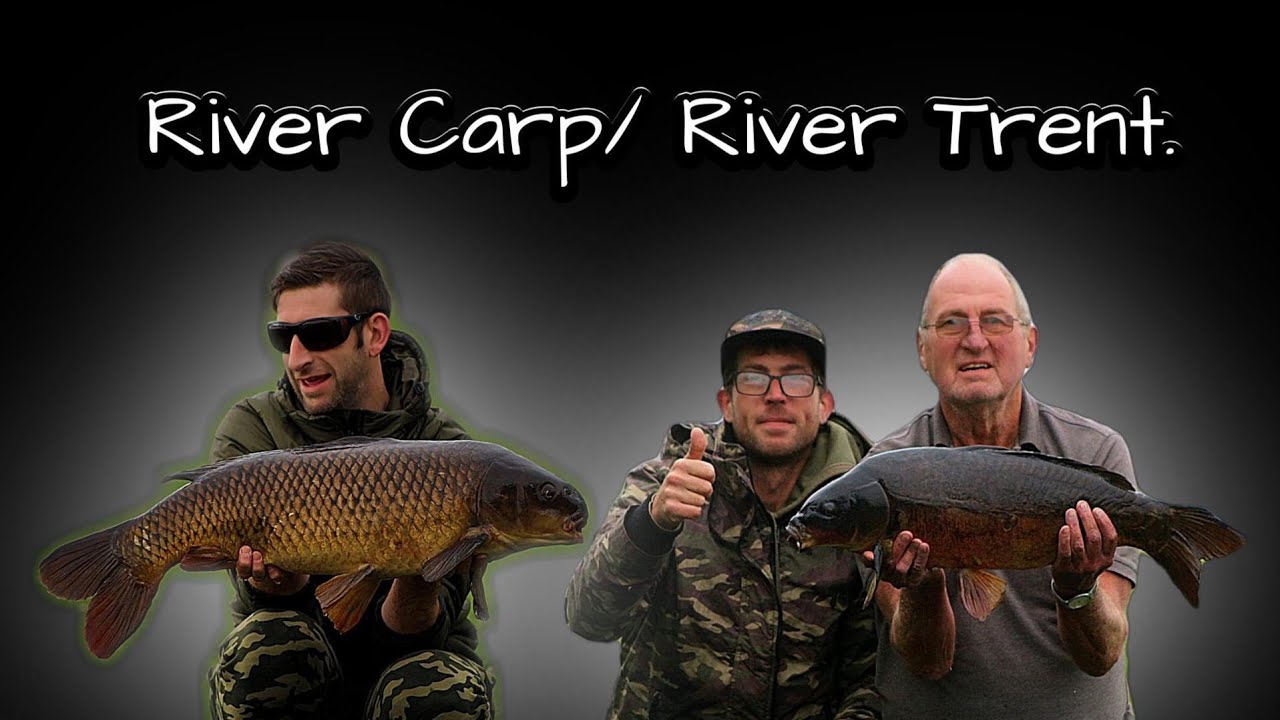 River Carp, River Trent. Just Carp. Episode 12. - YouTube