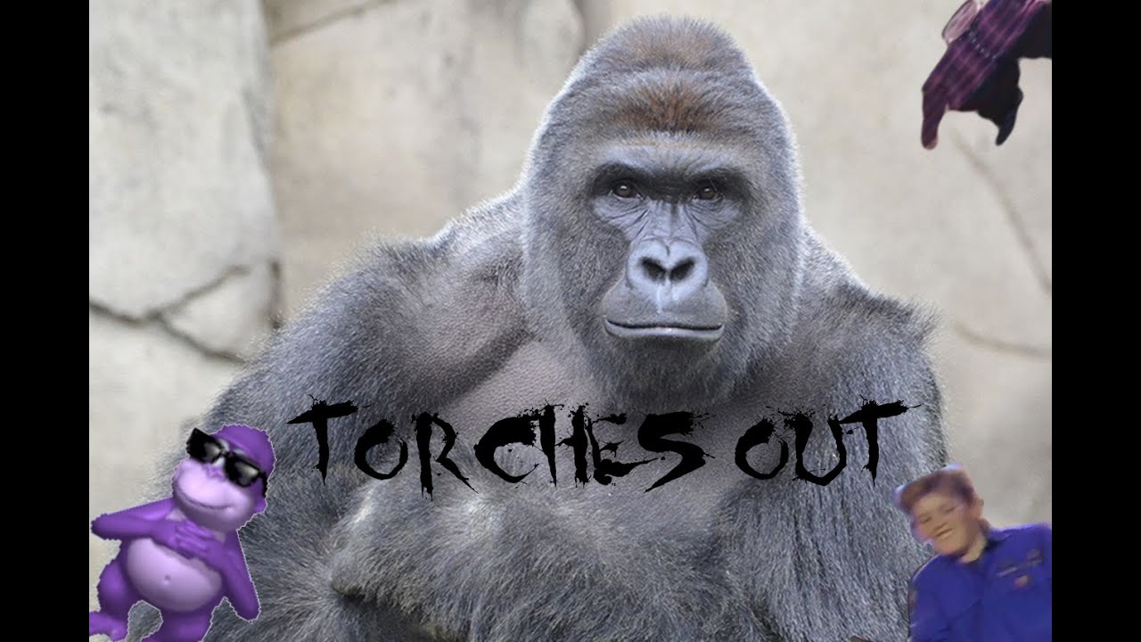 Rust: Torches out for Harambe - YouTube