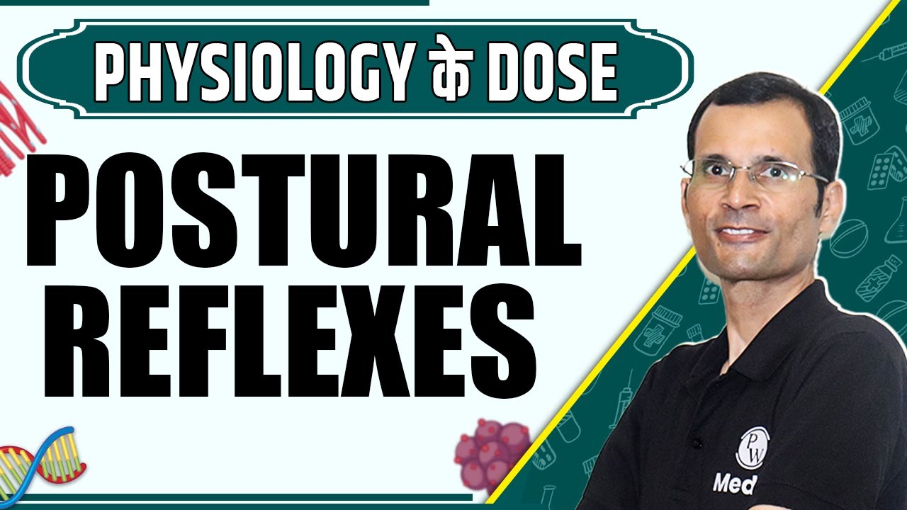 Postural Reflexes | 1st Year MBBS | Dr. Vivek | Physiology के Dose ...
