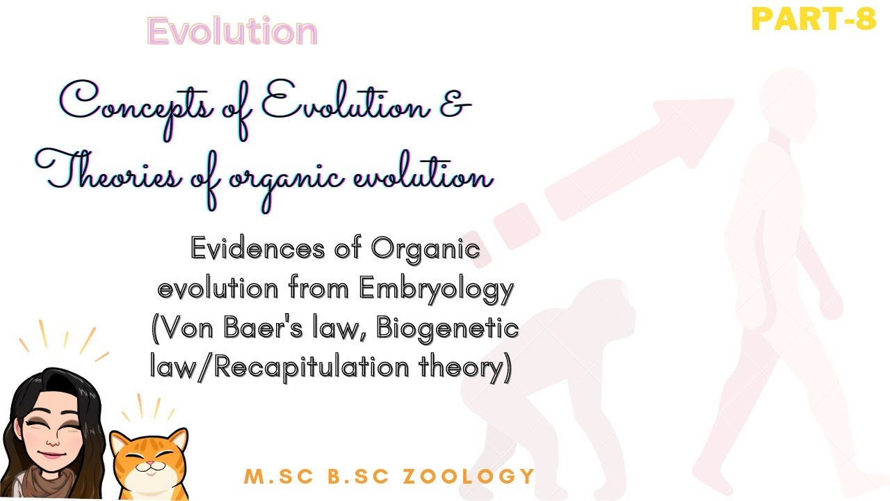 Part-8 Evidences from Embryology of organic evolution |M.Sc B.Sc ...