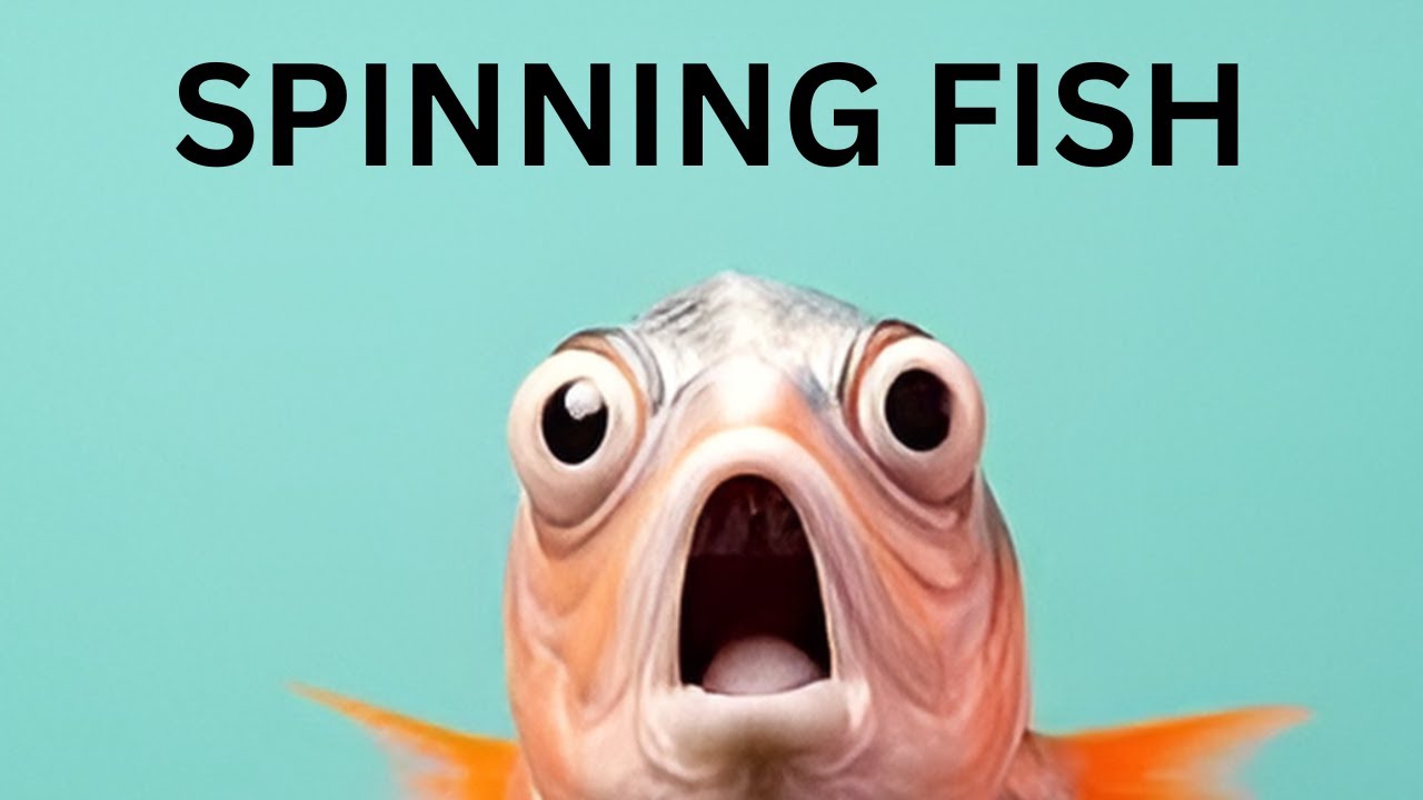 Why are all the fish spinning in Florida? - YouTube