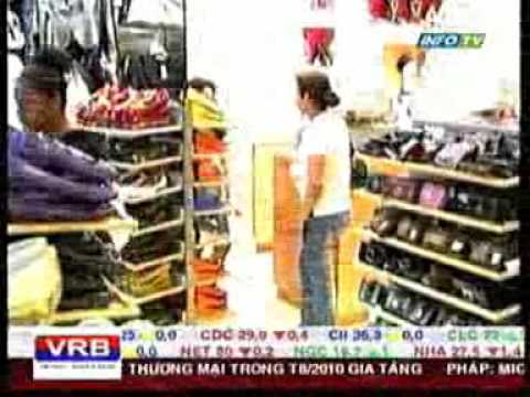 ELCOM - Bản tin tài chính 2010