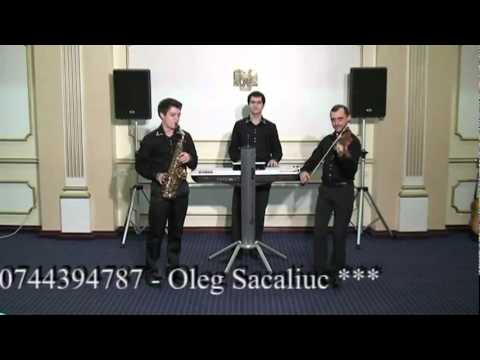 Formatia Rapsodia Botosani - Hora de la Bacau (Muzica Nunta)