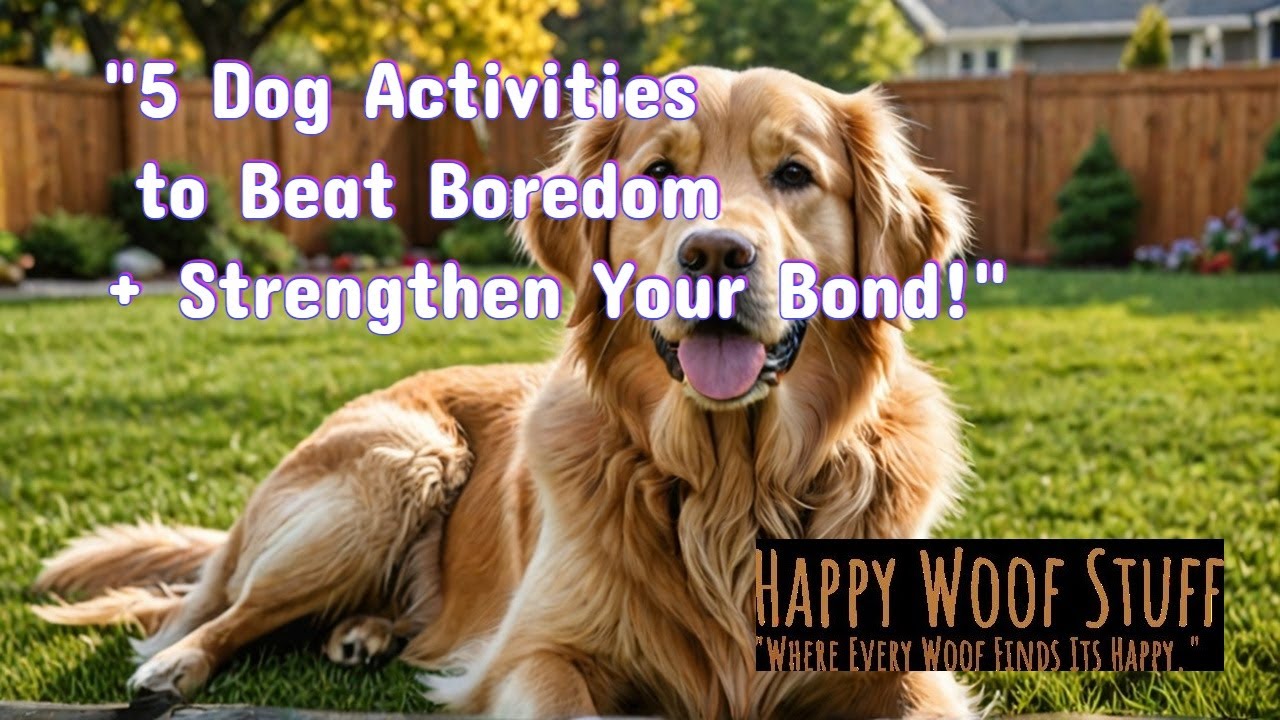Make Your Dog's Day AMAZING With These Fun Activities! - YouTube