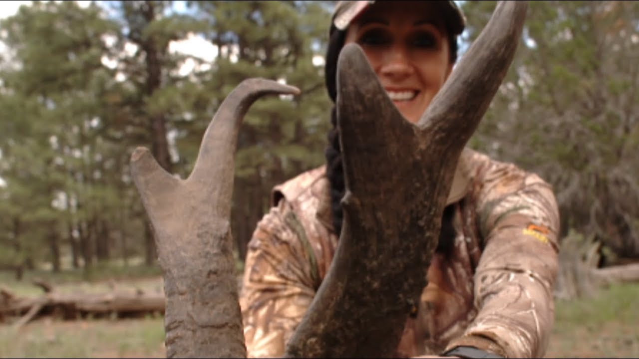 Flagging Antelope Success- Winchester Deadly Passion- Full Episode ...