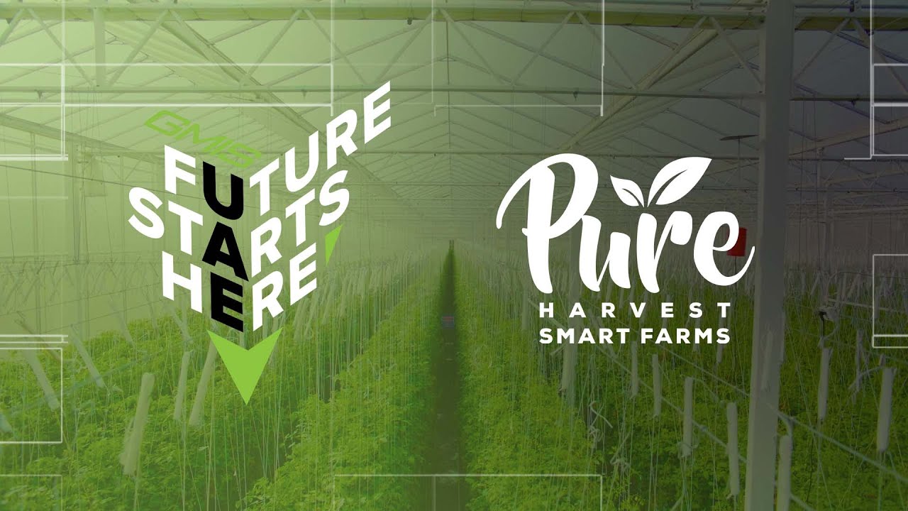 Pure Harvest: UAE's Premium Quality Produce All Year-round - YouTube