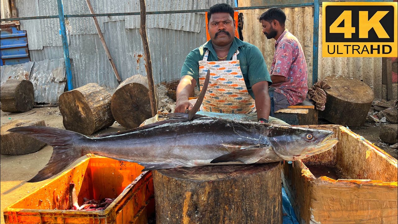 Kadora fish cutting video Fishcuttingrs. #fishcuttingrs #kasimedu #fish ...