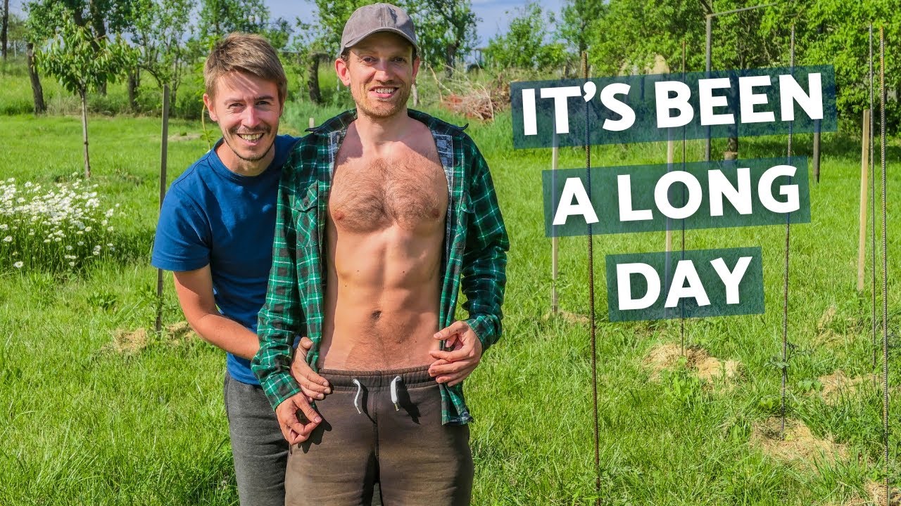 They seem to be quite dumb | Endless planting in our garden (gay ...