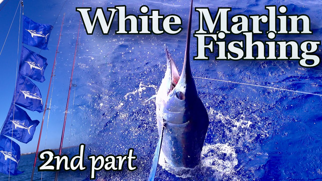 White Marlin Fishing