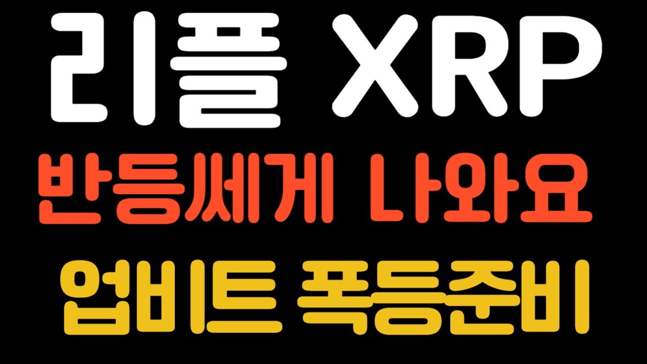 리플 Xrp 반등쎄게 나올자리입니다 업비트 폭등준비 리플 뉴욕파티 준비하세요 리플 Youtube