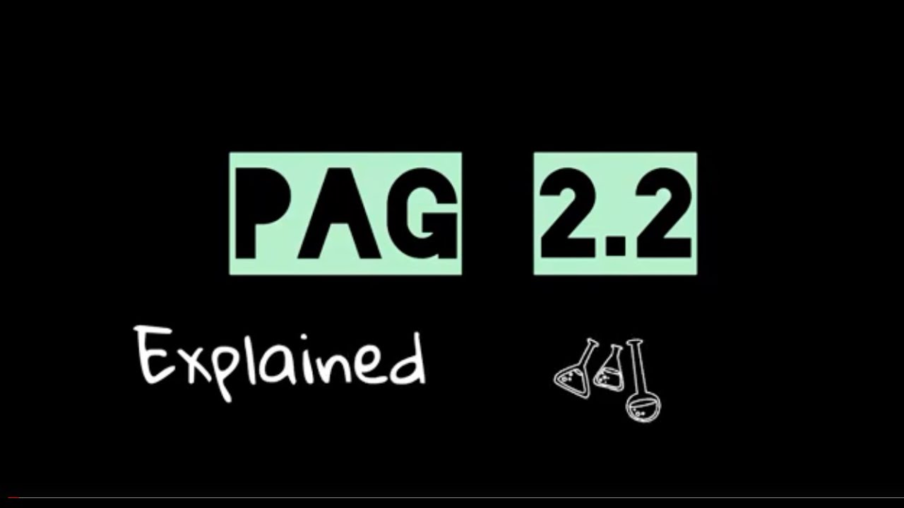 PAG 2.2 intro and analysis - YouTube