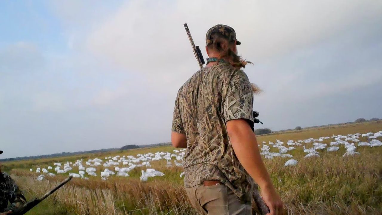 Texas Goose hunt - YouTube