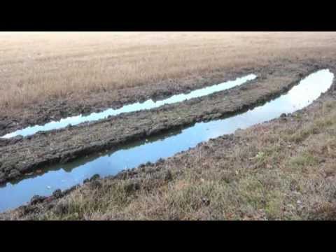 The importance of field drainage - YouTube