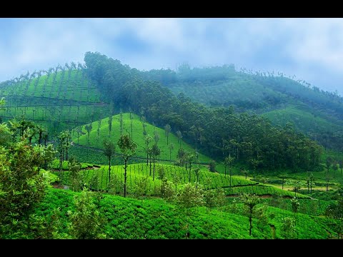 Ambanadu hills | Kerala | Exploring Kollam Ep 15 - YouTube