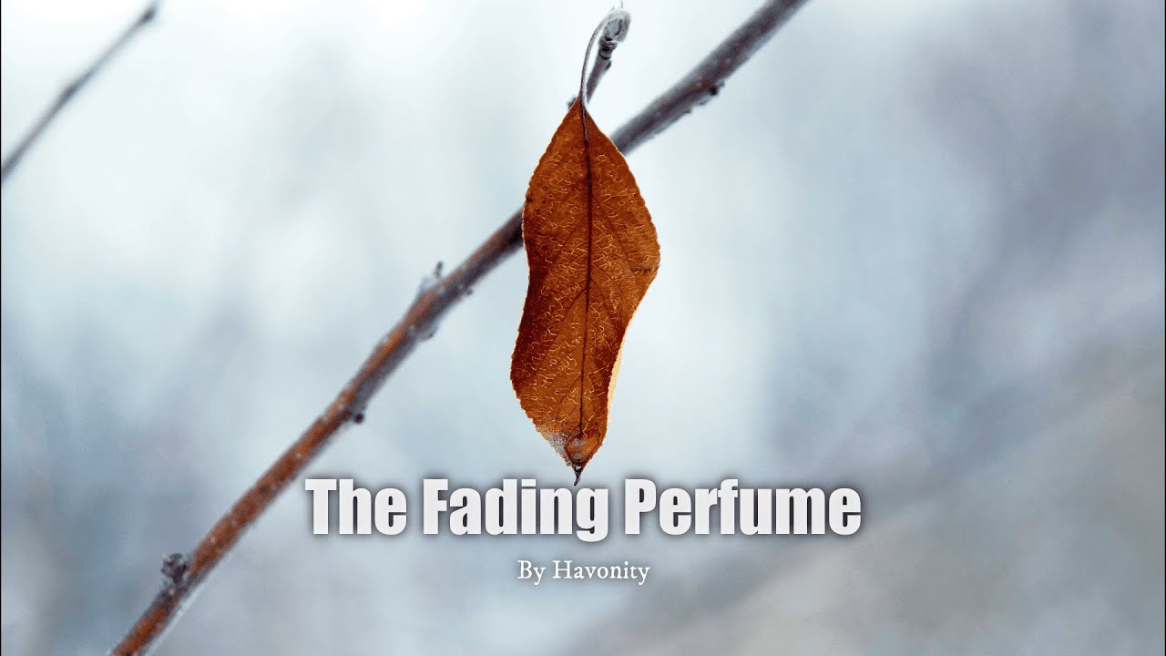The Fading Perfume - Havonity - YouTube