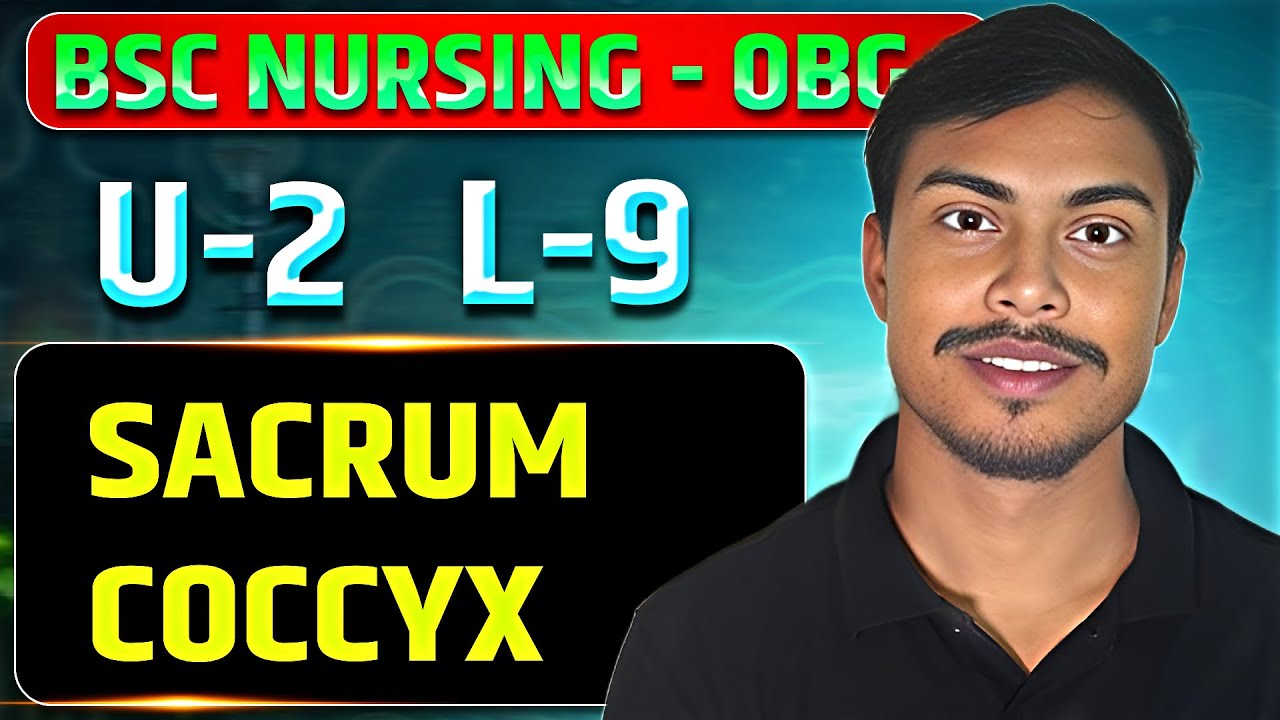 Sacrum and Coccyx || L-8 ||Obstetrics and gynecology || Bsc Nursing ...