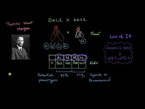 Chromosomes, linkage and recombination - Part 2 | Principles of Inheritance | Biology | Khan ...