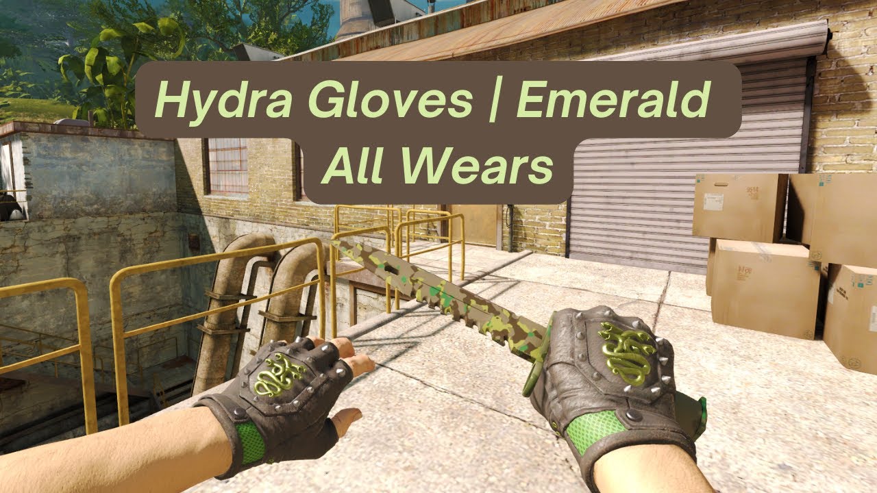 Hydra Gloves | Emerald All Wears (CS2) - YouTube