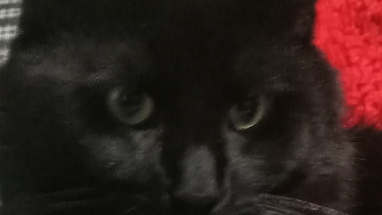 hi join the stream - YouTube