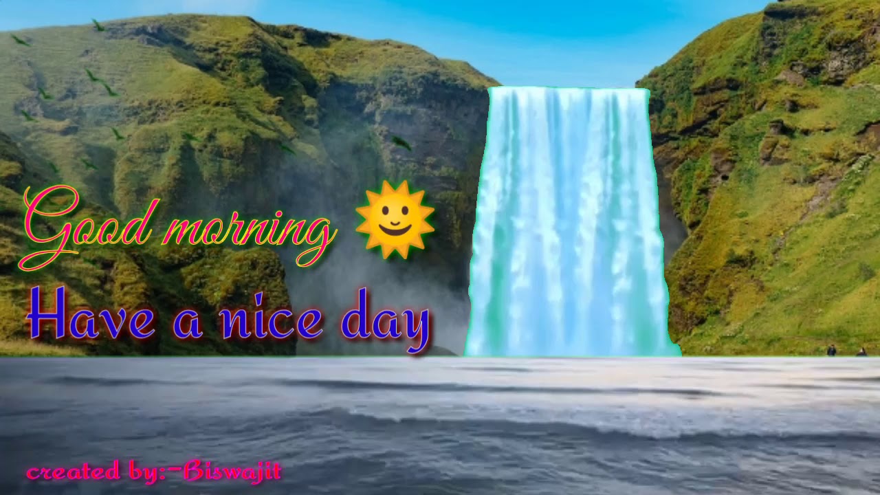 Morning video - YouTube